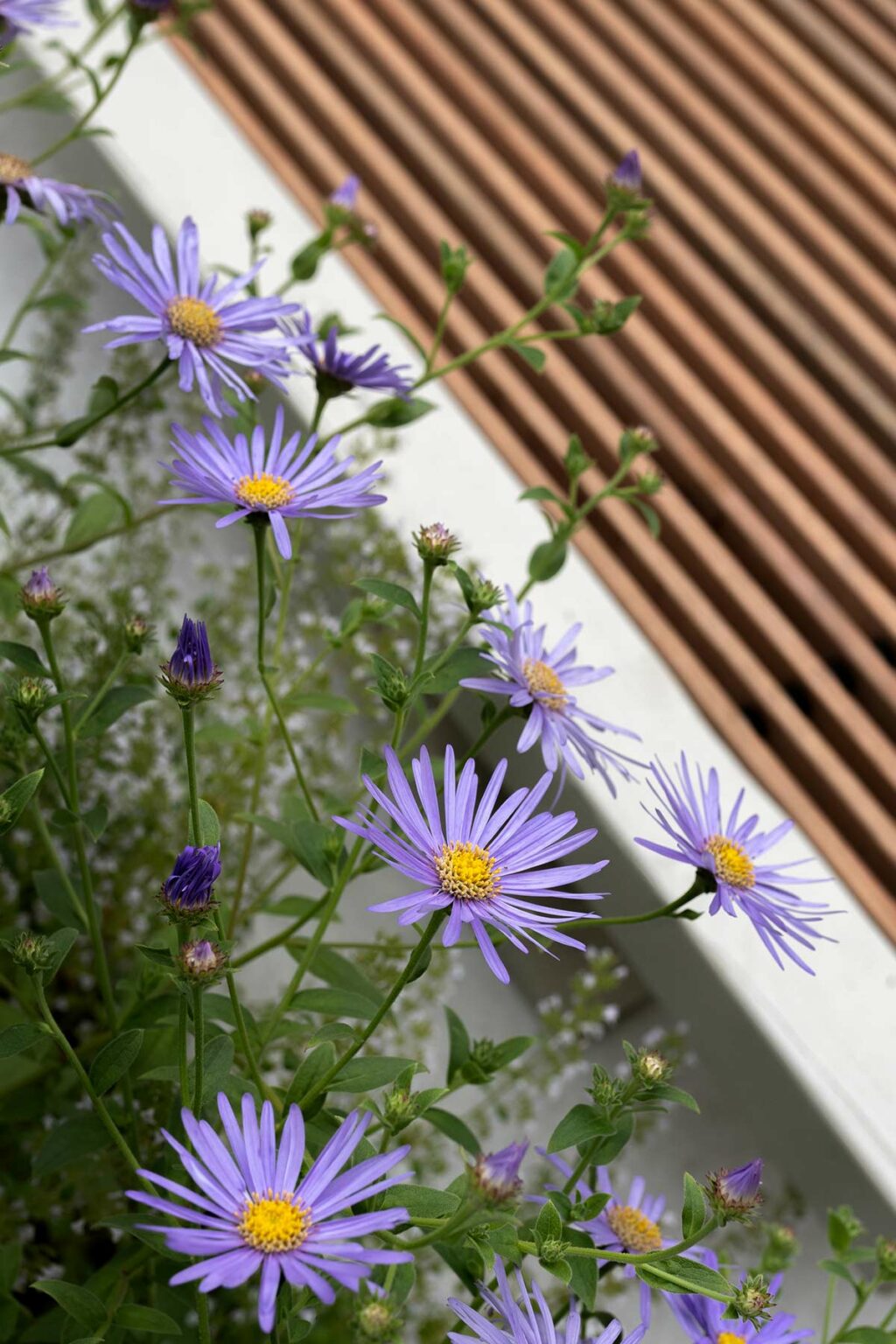 DIY ligbed voor in de tuin